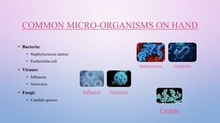 Importance of Hand Hygiene in Healthcare Enviroment.pdf | Infectious ...