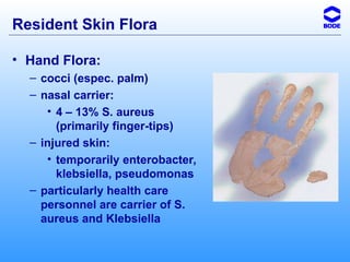 Hand hygiene techniques and protocol.ppt