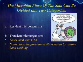 Hand hygiene nurses | PPT