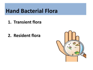 HAND HYGIENE | PPTX | Infectious Diseases | Diseases and Conditions
