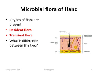 Hand Hygiene latest.pptx | First Aid | Injuries