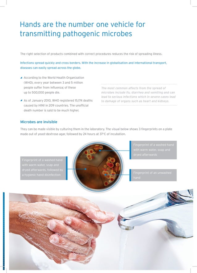 Hand hygiene management brochure | PDF