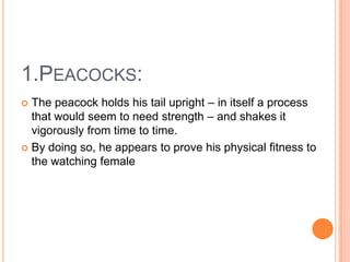Handicap principle, Sexula selection theory.pdf