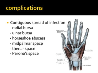 Hand infection: discussion | PPTX | Blood Disorders | Diseases and ...