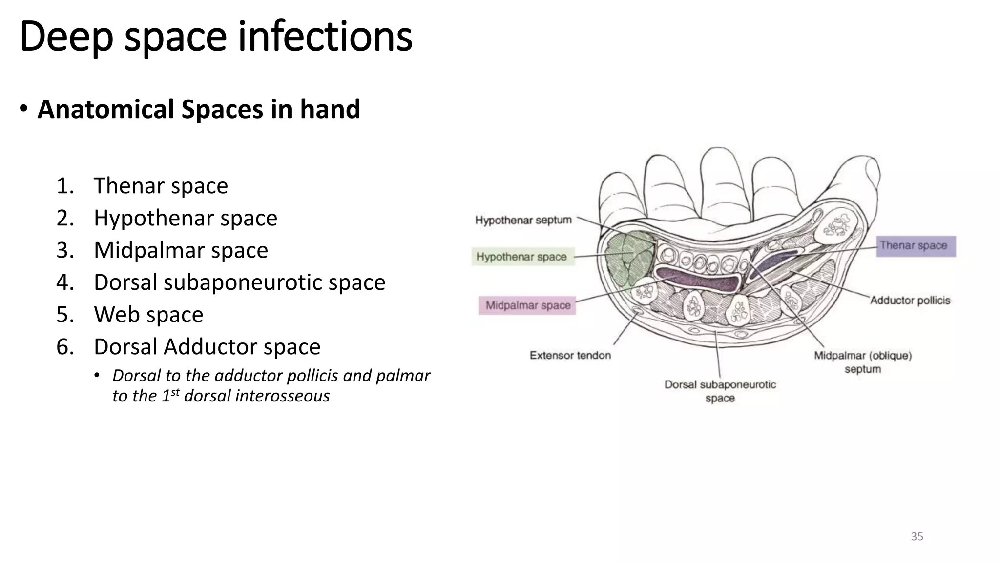Hand Infection .pptx | Nail Care | Beauty