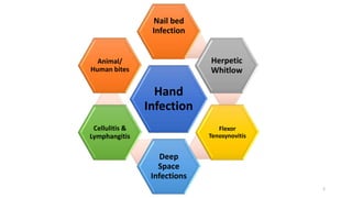 Hand Infection .pptx | Nail Care | Beauty