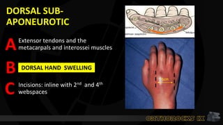 COMMON HAND INFECTION ORTHO SURGERY.pptx