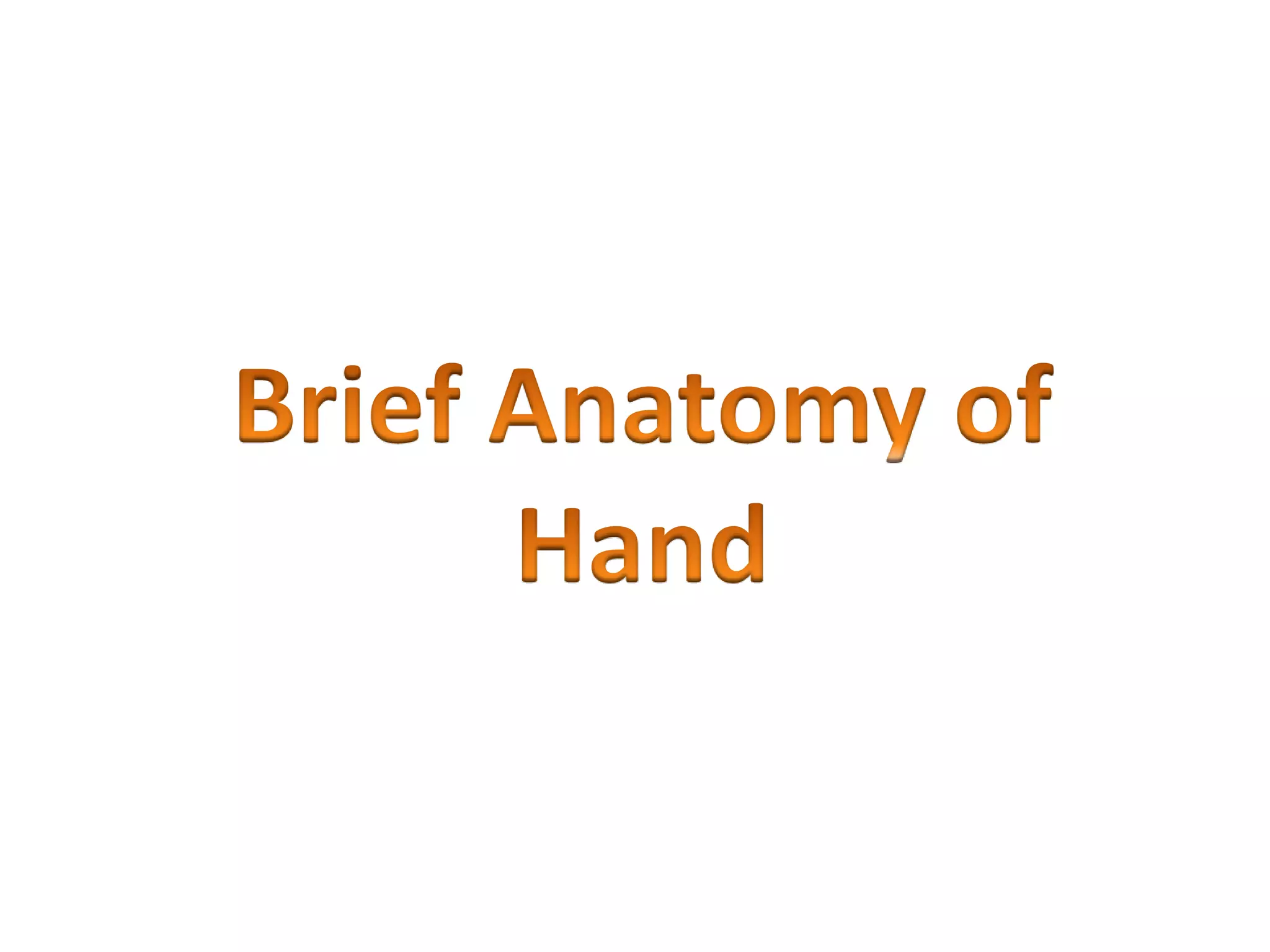 Hand Infections | PPTX
