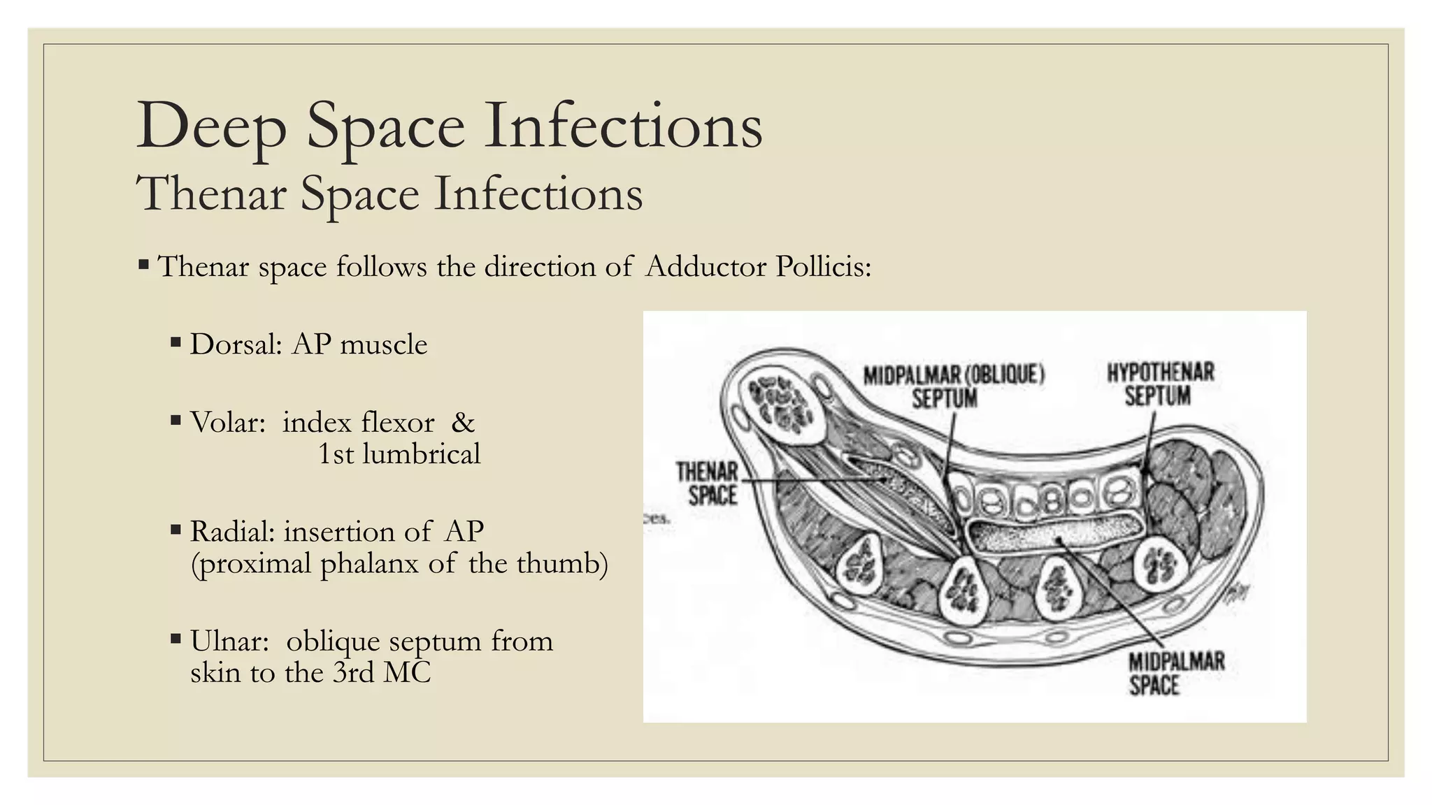 Hand infections | PPTX