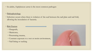 Hand infections | PPTX