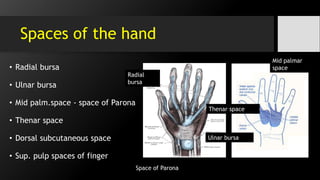 Hand & Foot infections | PPTX