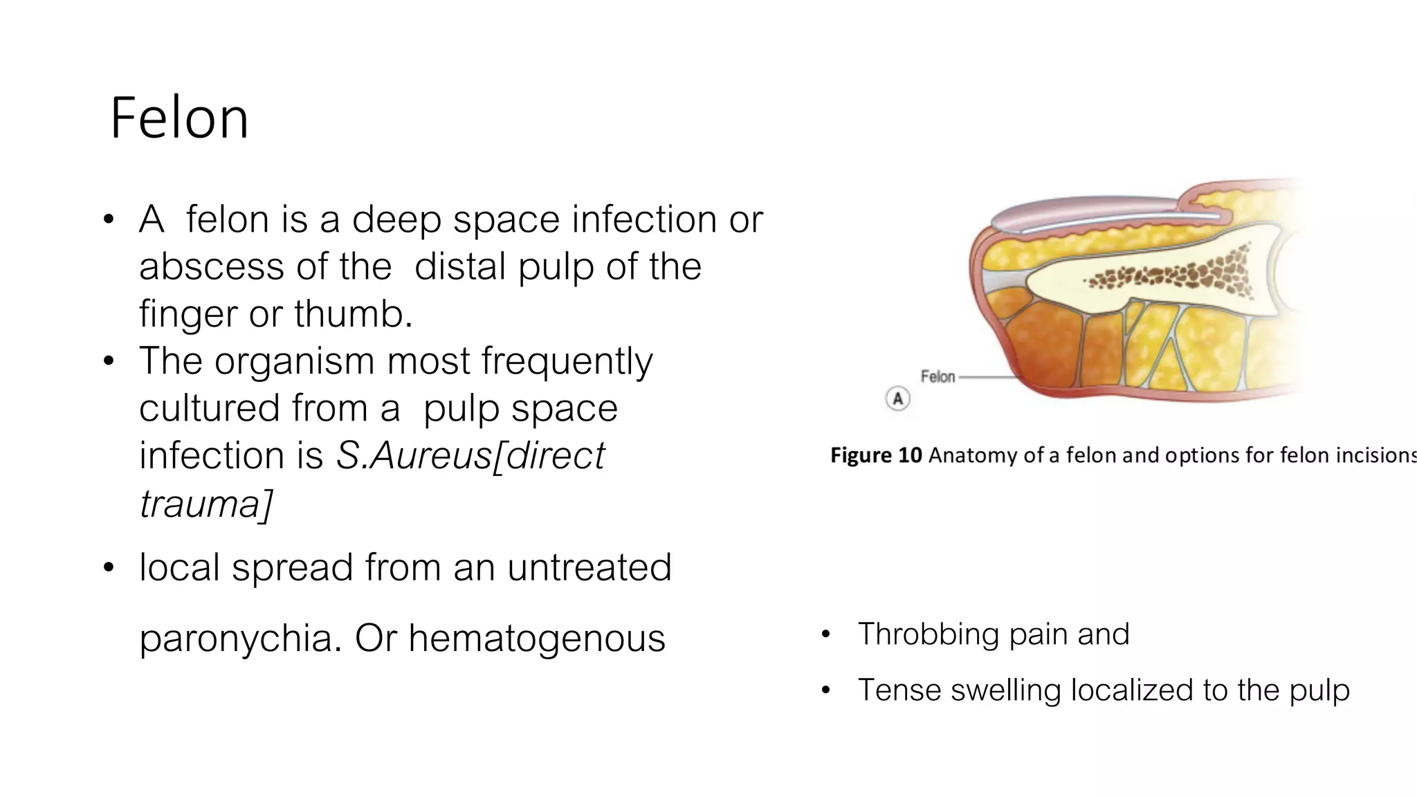 Hand infections | PDF