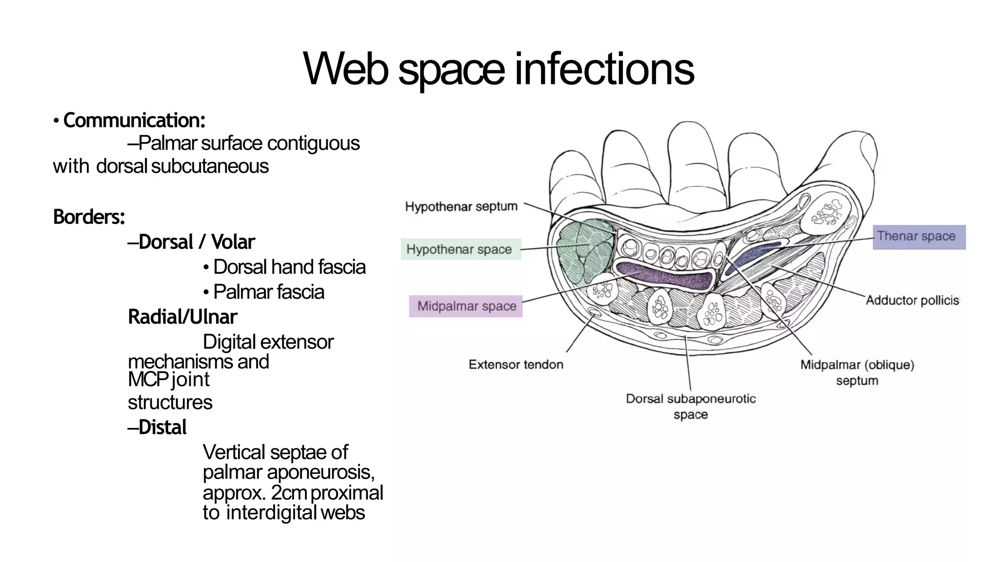 Hand infections | PDF
