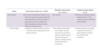 Hand infections | PDF