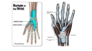 Hand infections | PDF