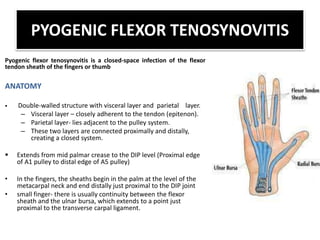 Acute Hand infections | PPT