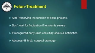 Hand infections | PPTX