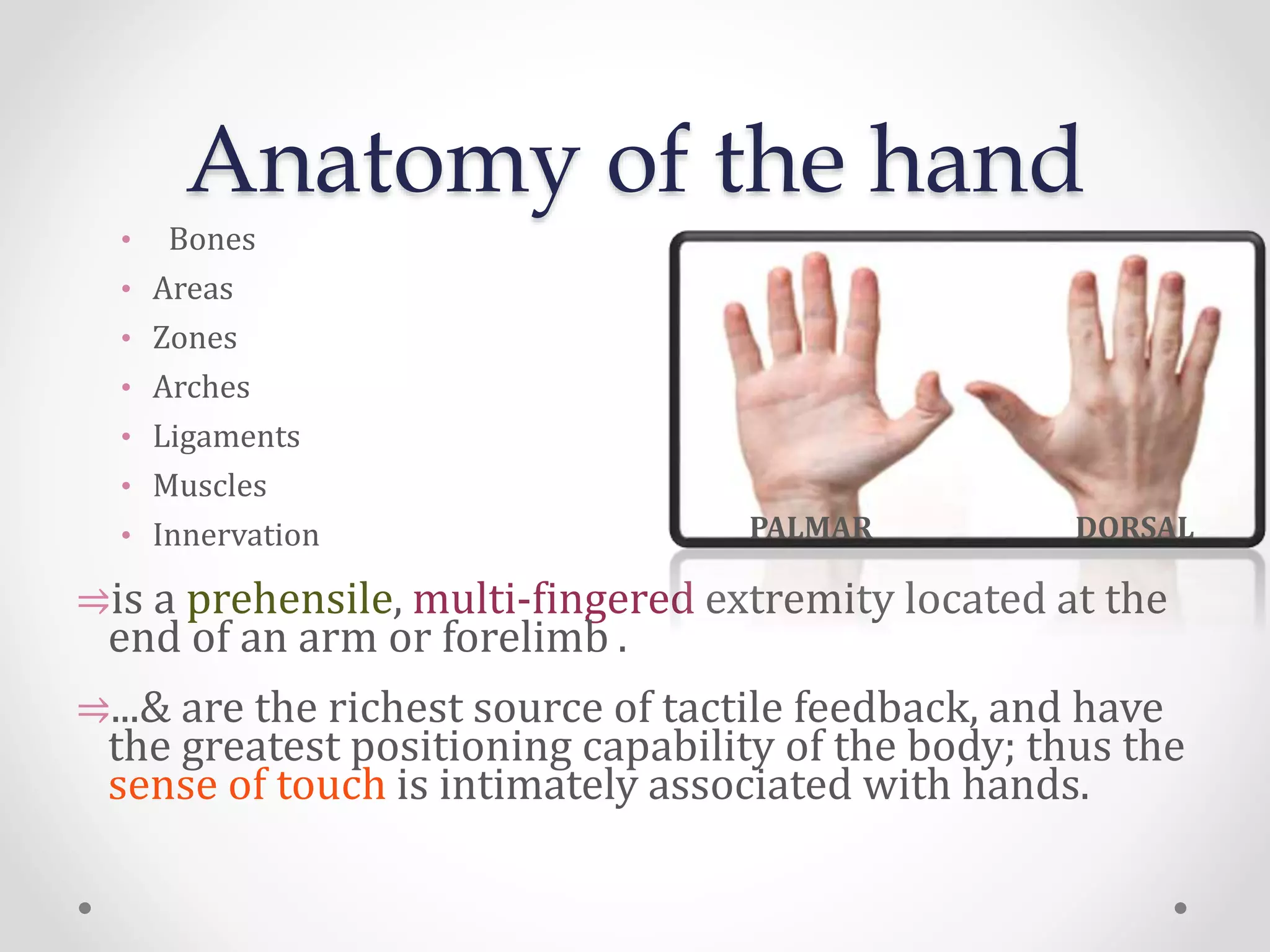 Hand injuries | PPTX