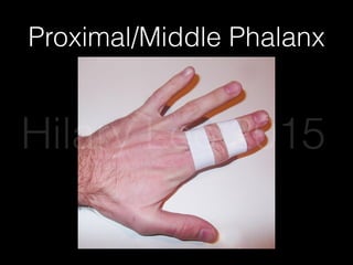 Hand injuries by Hilary Lee | PPT