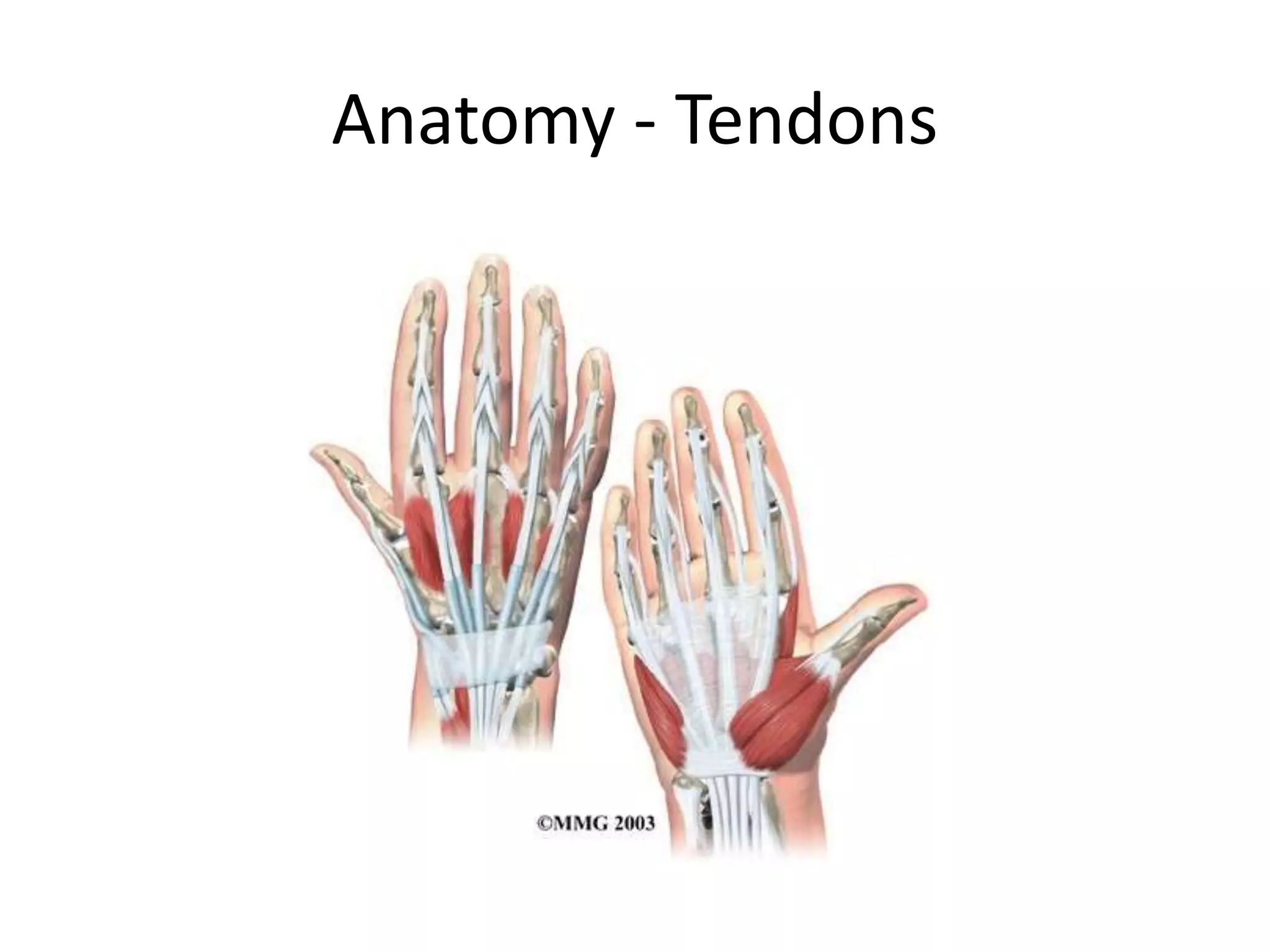 hand_injuries_PPT.ppt