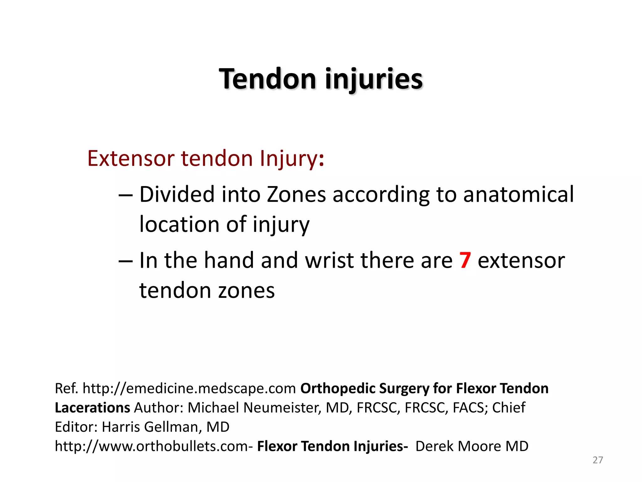 hand_injuries_PPT.ppt