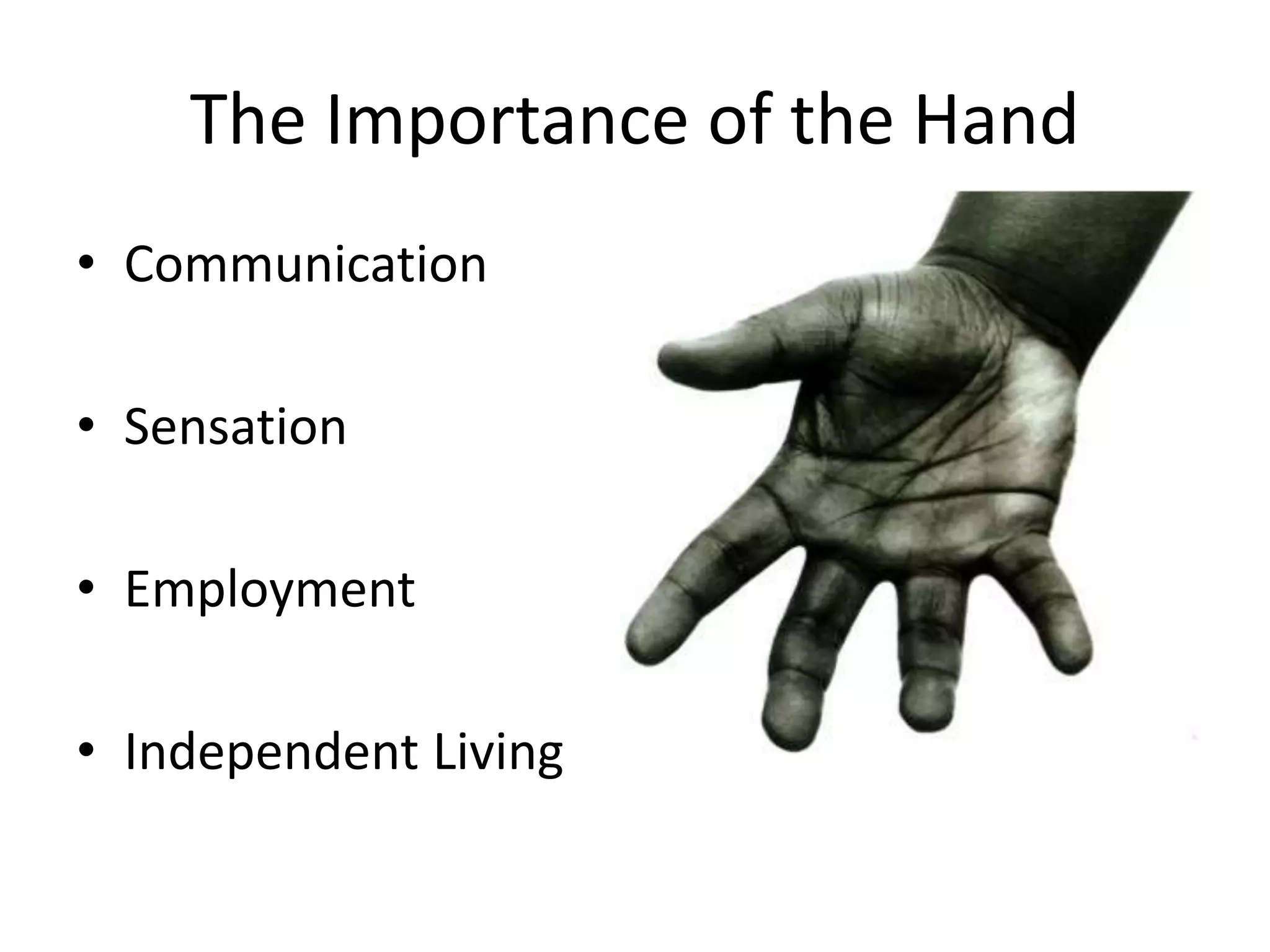 hand_injuries_PPT.ppt