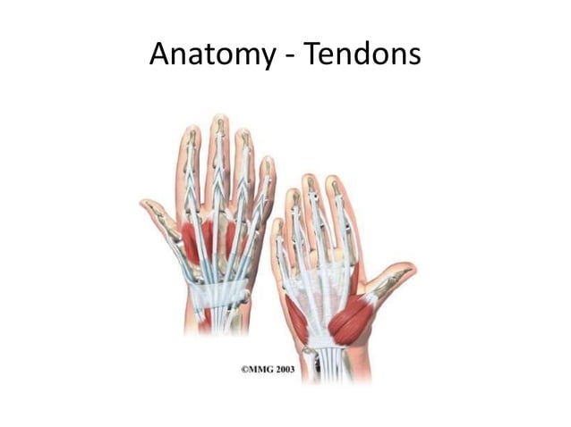 hand_injuries_PPT.ppt