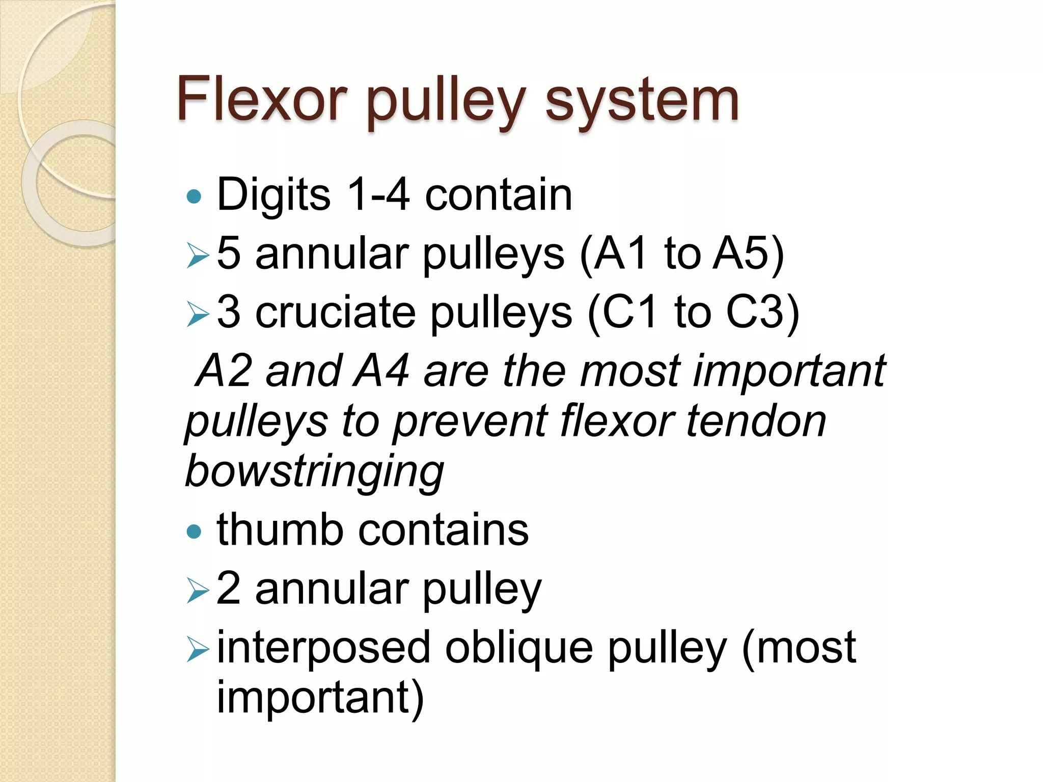 Hand Injuries & Their Managements | PPTX