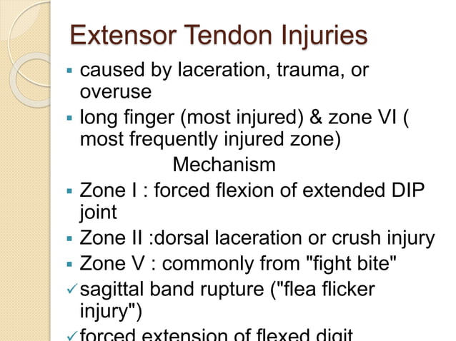 Hand Injuries & Their Managements | PPTX