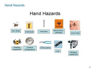 Hand Injury Prevention Presentation-1.pdf
