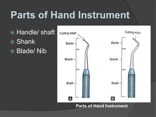Hand cutting instruments | PPTX | Dental Health | Diseases and Conditions
