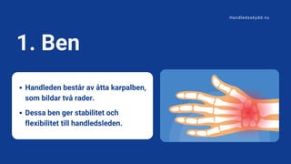 Handleds Anatomi | PDF