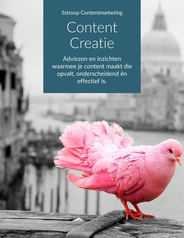 Handleiding content creatie 2018 | PDF