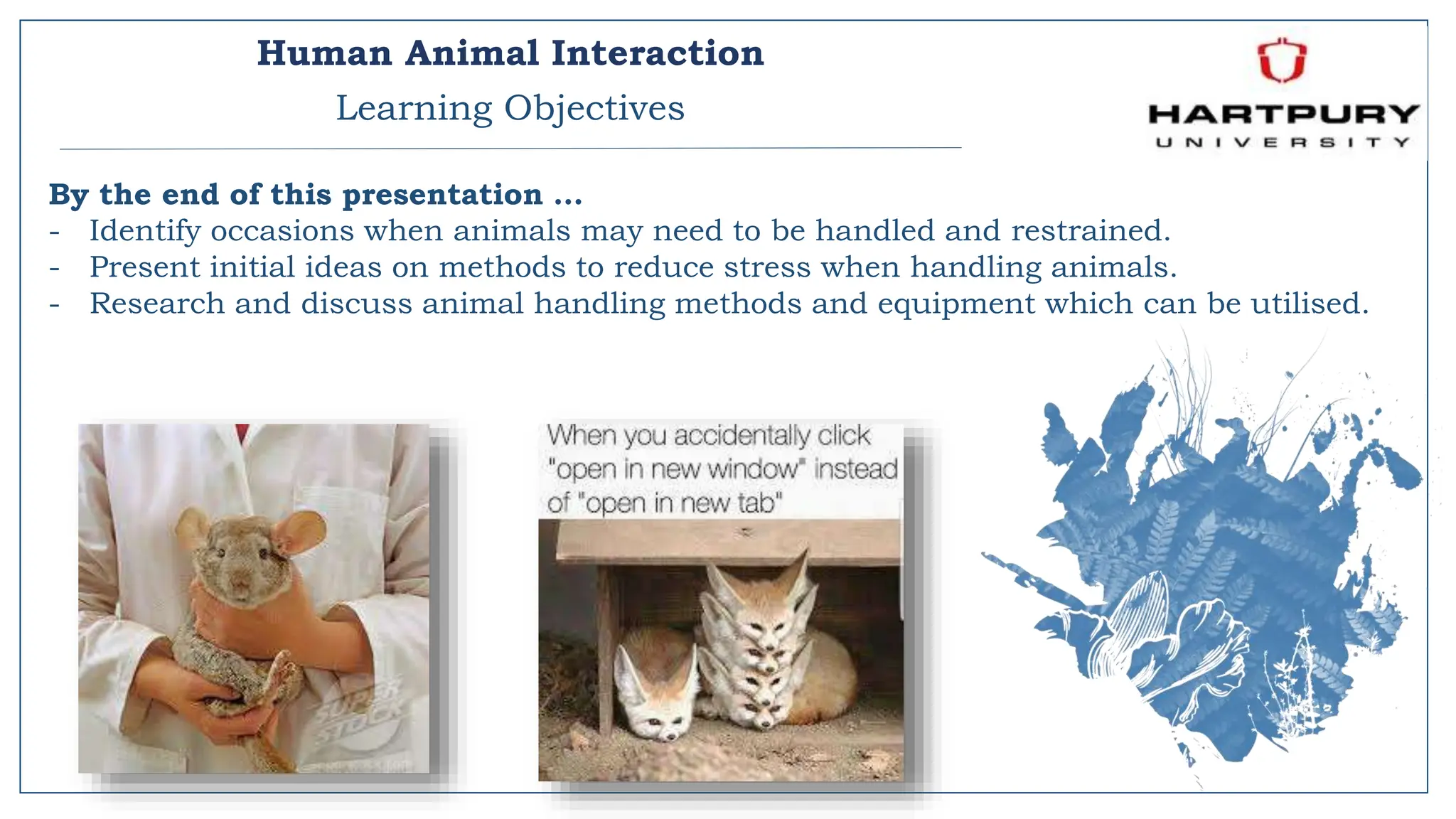 handling-animals-presentation.pptx