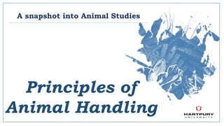 handling-animals-presentation.pptx
