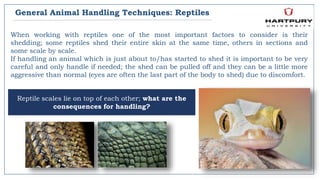 handling-animals-presentation.pptx