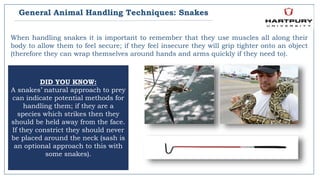 handling-animals-presentation.pptx