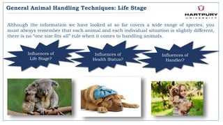handling-animals-presentation.pptx