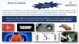 handling-animals-presentation.pptx