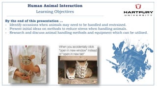 handling-animals-presentation.pptx