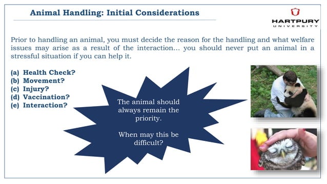handling-animals-presentation.pptx