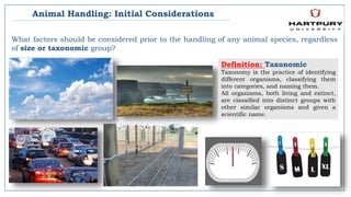 handling-animals-presentation.pptx