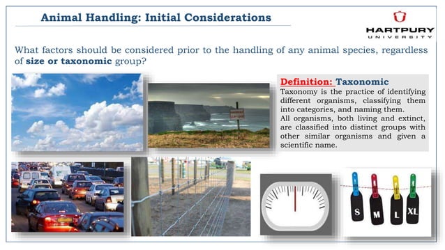 handling-animals-presentation.pptx