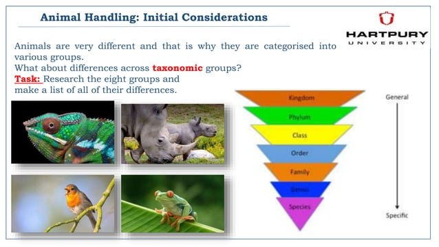 handling-animals-presentation.pptx
