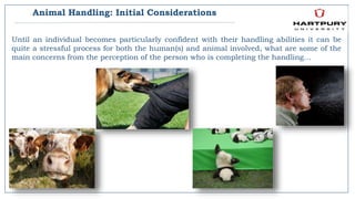 handling-animals-presentation.pptx
