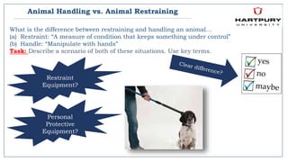 handling-animals-presentation.pptx