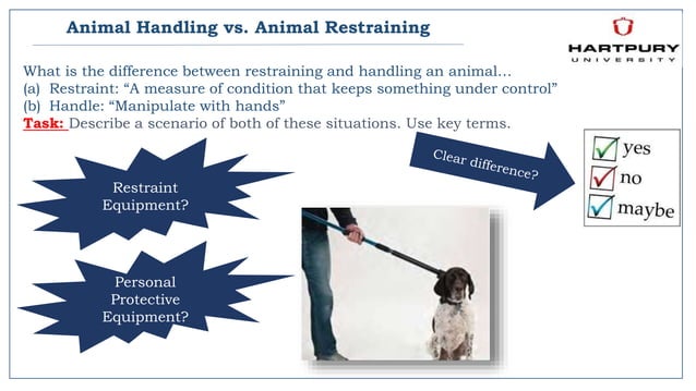 handling-animals-presentation.pptx