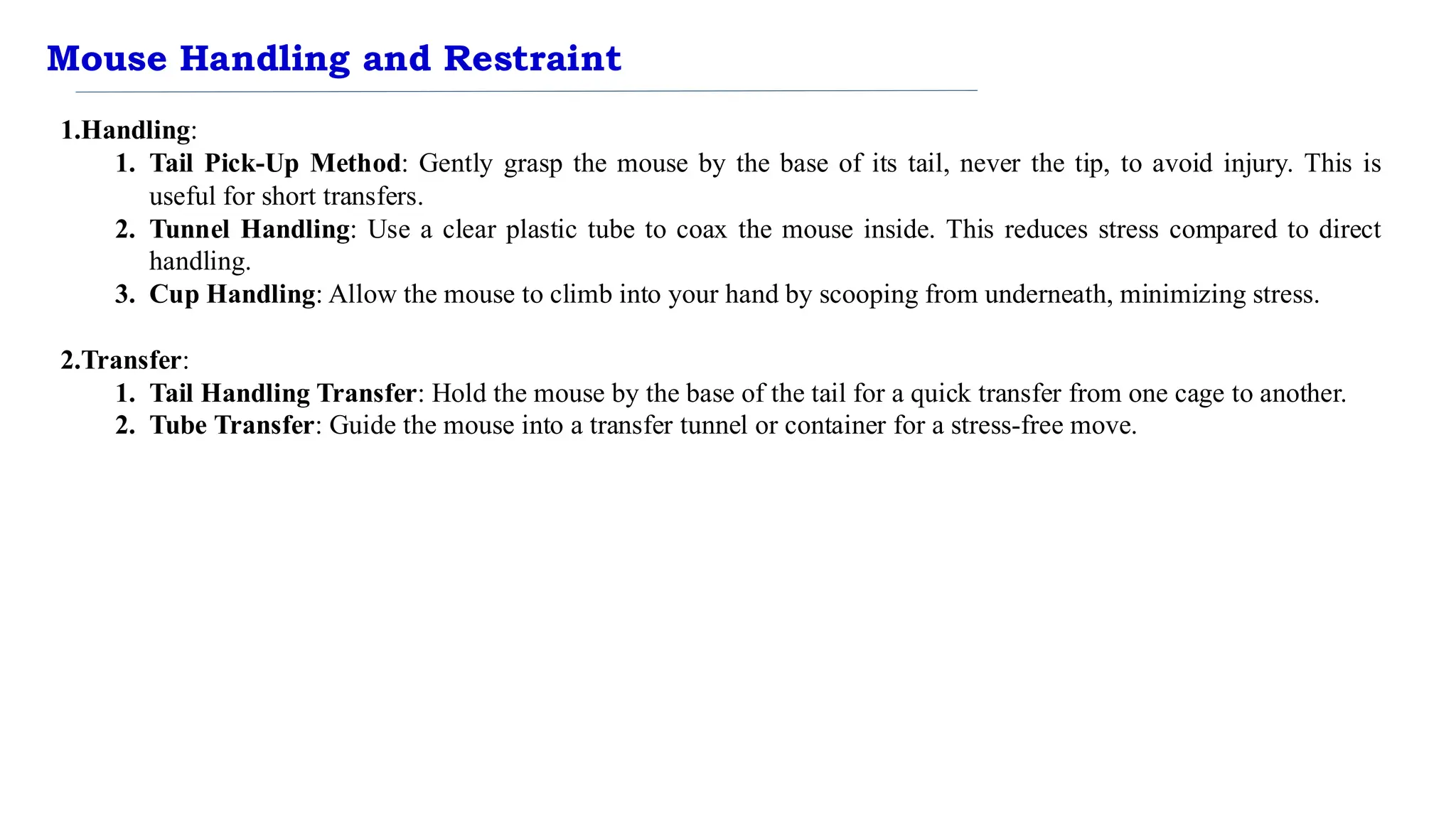 handling-animals-presentation (rat and mouse) | PDF