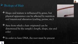 Handling and Preservation of Biological Evidence -hair and fiber.pptx ...