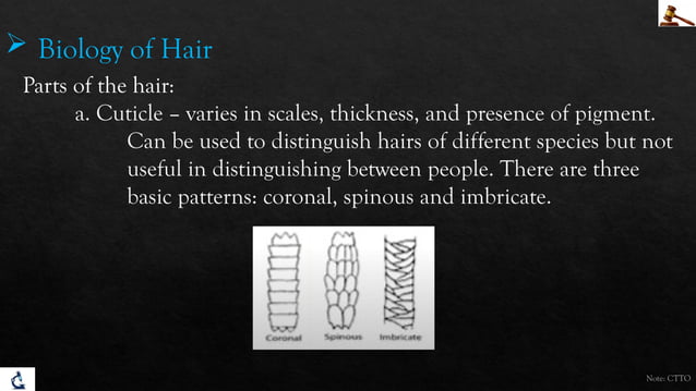 Handling and Preservation of Biological Evidence -hair and fiber.pptx ...